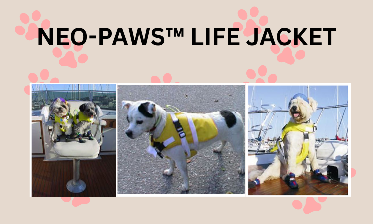 Best Life Jacket for Dogs | Safety & Comfort with NeoPaws