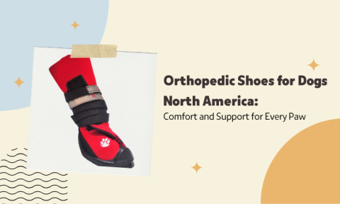 Best Orthopedic Shoes for Dogs North America | Neo-Paws