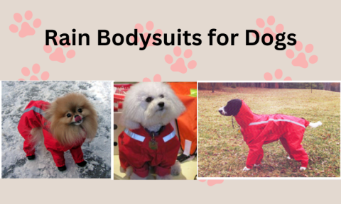 Rain Bodysuits for Dogs | All-Weather Protection by NeoPaws