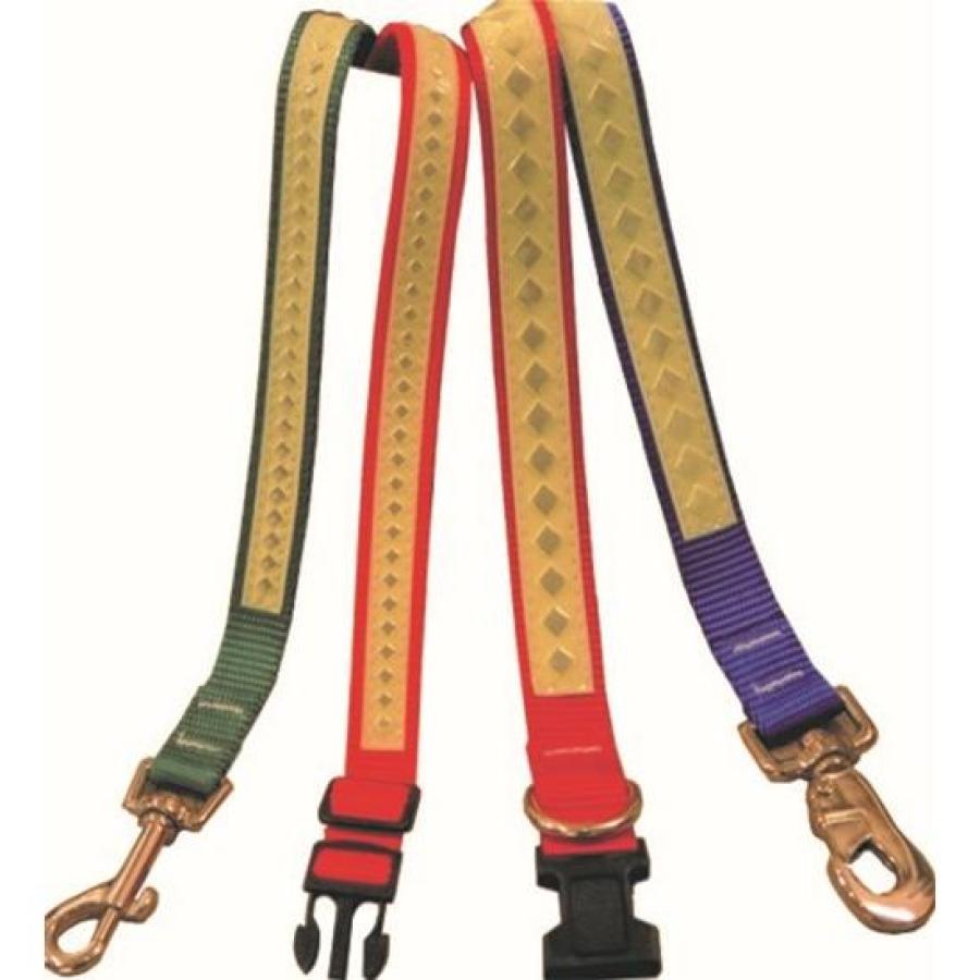 SEE-ME™ GLOW LEAD with all the safety precautions at Neo-Paws