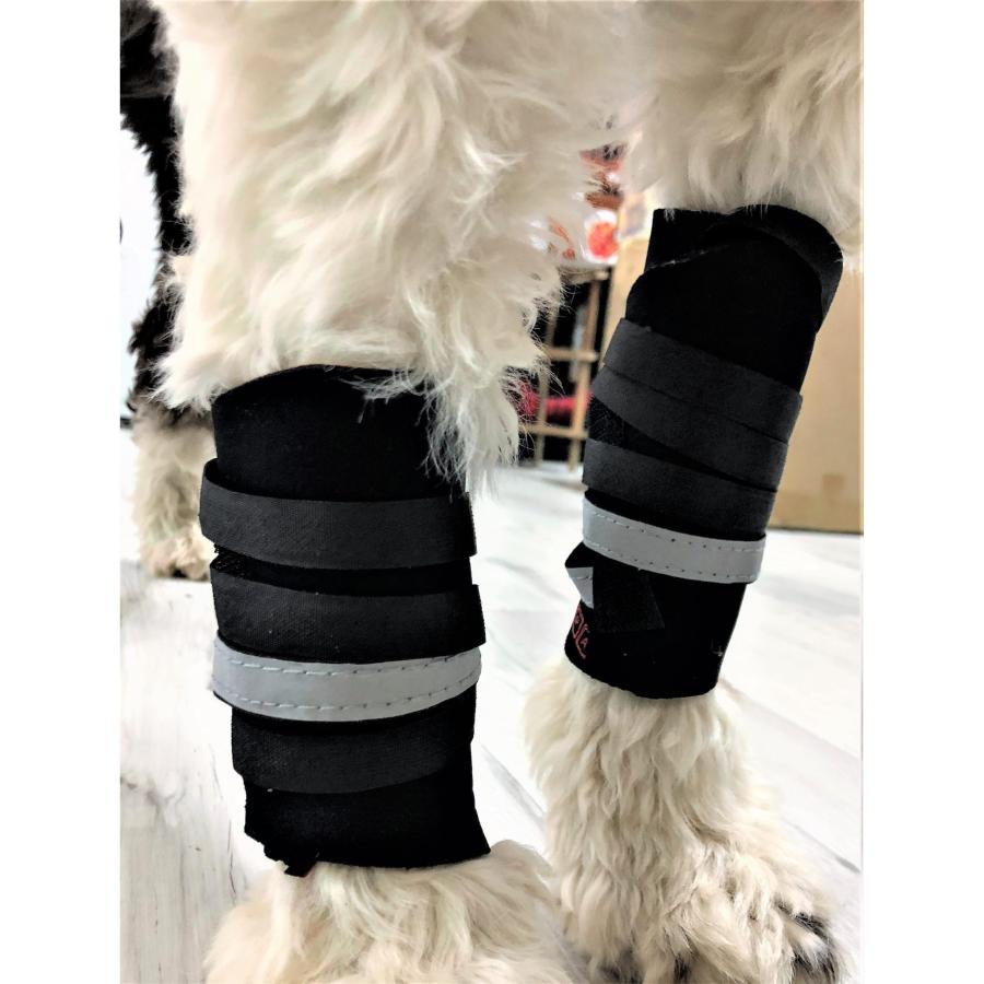 Leg wraps for dogs | Neoprene leg wraps for Dogs with arthritis | Neopaws