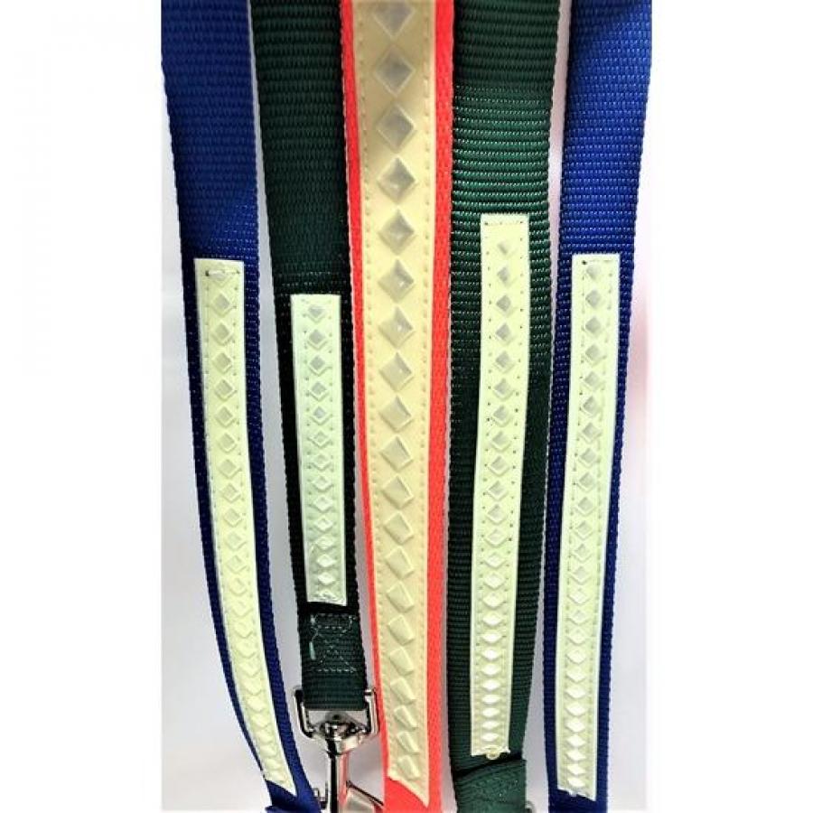 SEE-ME™ GLOW LEAD with all the safety precautions at Neo-Paws