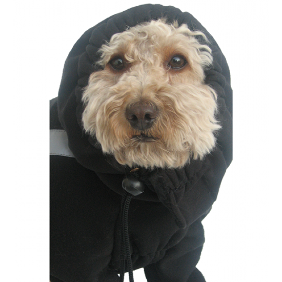 Fleece Suits for Dogs – Warm & Comfortable | NeoPaws