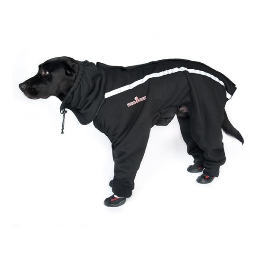 Fleece Suits for Dogs – Warm & Comfortable | NeoPaws