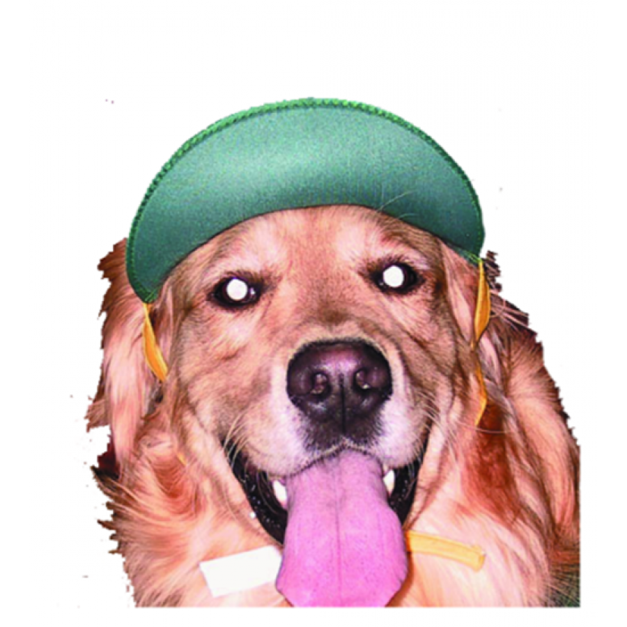 NEO-PAWS™ HAT/VISOR - NEO-PAWS