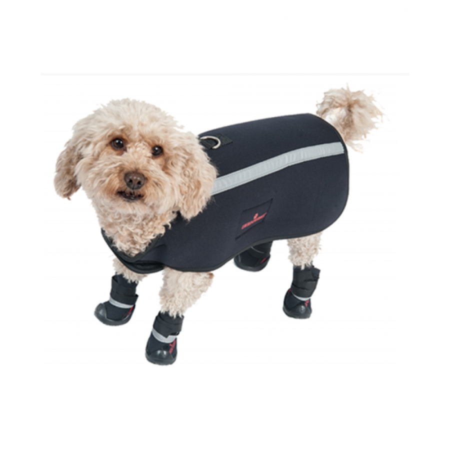 ALL-NEW NEOPRENE JACKET - NEO-PAWS
