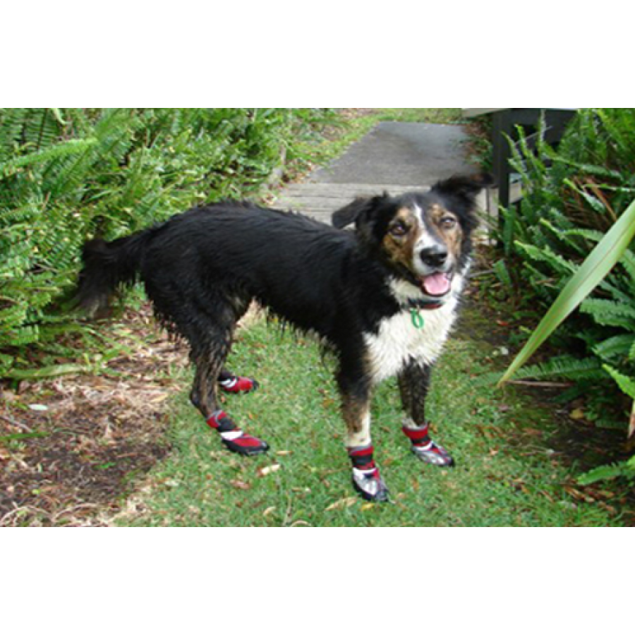 Summer Indoor & Outdoor Orthopaedic Dog Shoes – NeoPaws