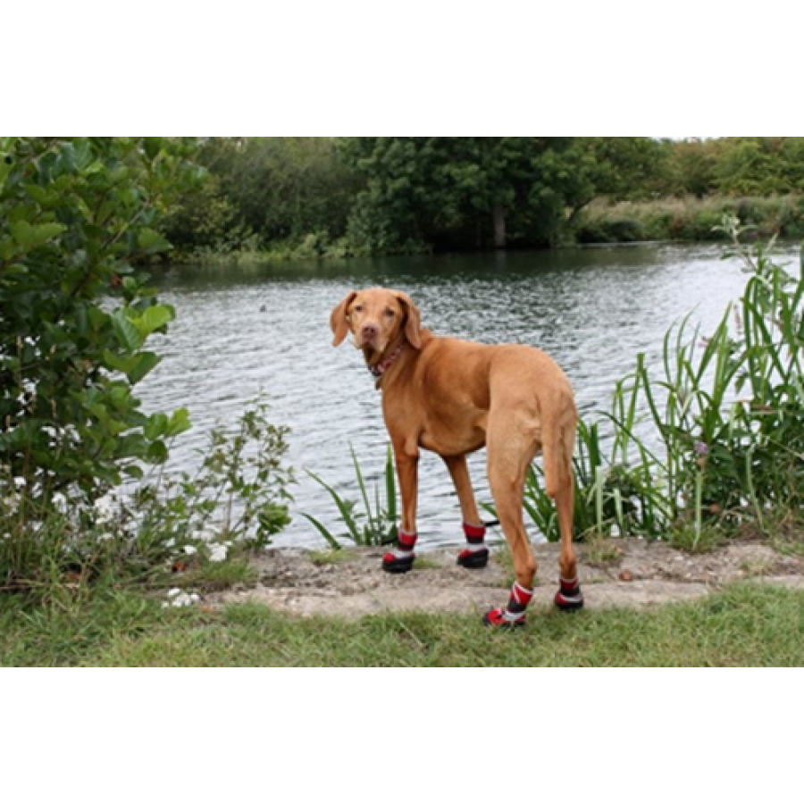 Summer Indoor & Outdoor Orthopaedic Dog Shoes – NeoPaws